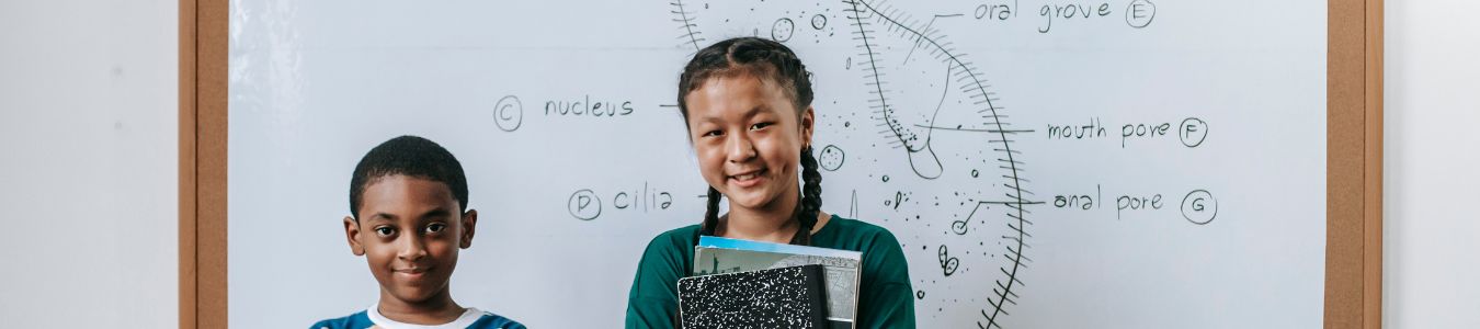 12th HSC Biology | Home & Online Biology Tuition for Class 12